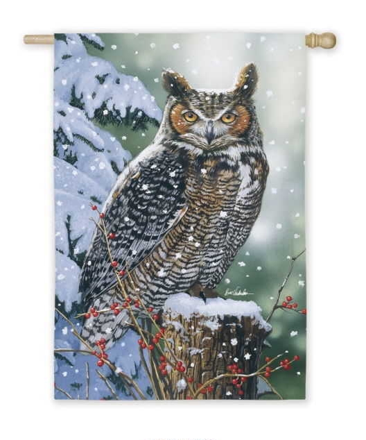 : Owl House Flag | Decorative Flags